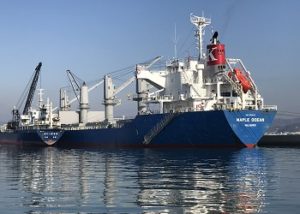 活動報告 | ページ 5 | 菅原汽船株式会社